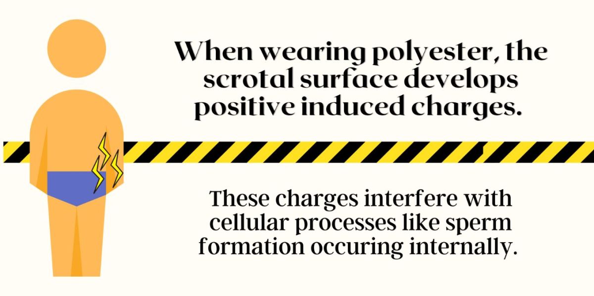 Is Polyester Good for Underwear? Why You Should AVOID It - My Eco Closet