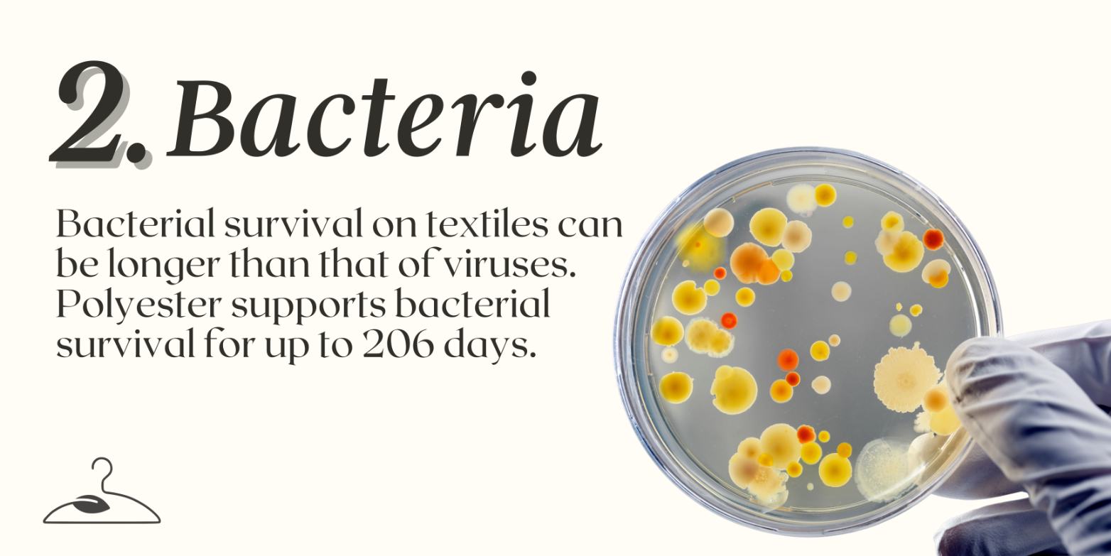 5 Health Risks of Wearing Used Clothes (Avoid Doing THIS!) - My Eco Closet