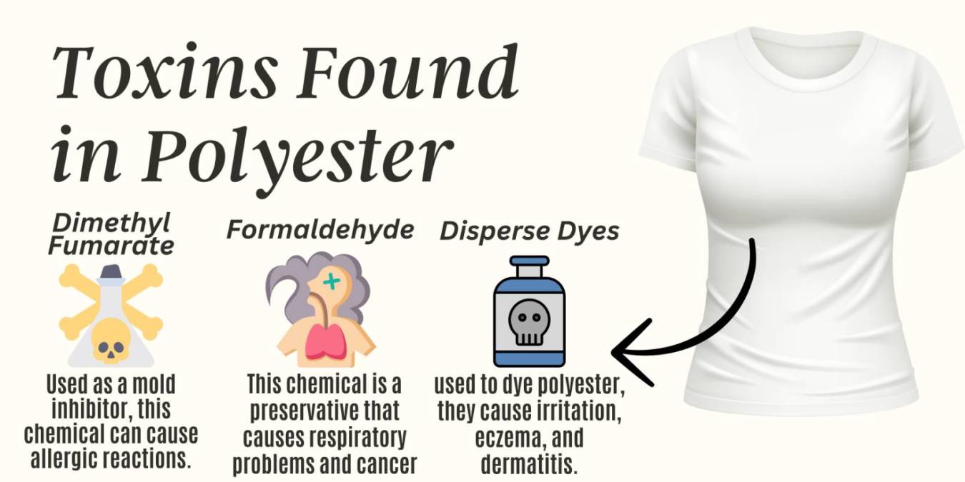 Recycled Polyester vs Polyester: 5 Shocking Differences - My Eco Closet