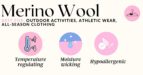 Merino Wool vs Cashmere vs Alpaca: The Ultimate Guide - My Eco Closet