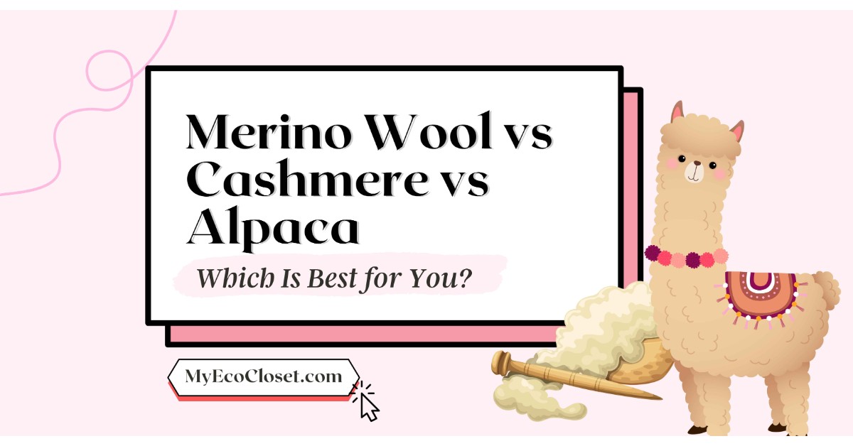 Merino Wool vs Cashmere vs Alpaca: The Ultimate Guide - My Eco Closet