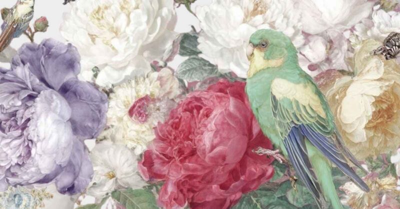Soft Winter Color Palette: What You Need to Know - My Eco Closet