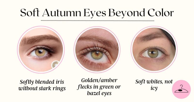 Soft Autumn Eyes: Best Colors, Makeup Tips, and Styling Advice | My Eco ...